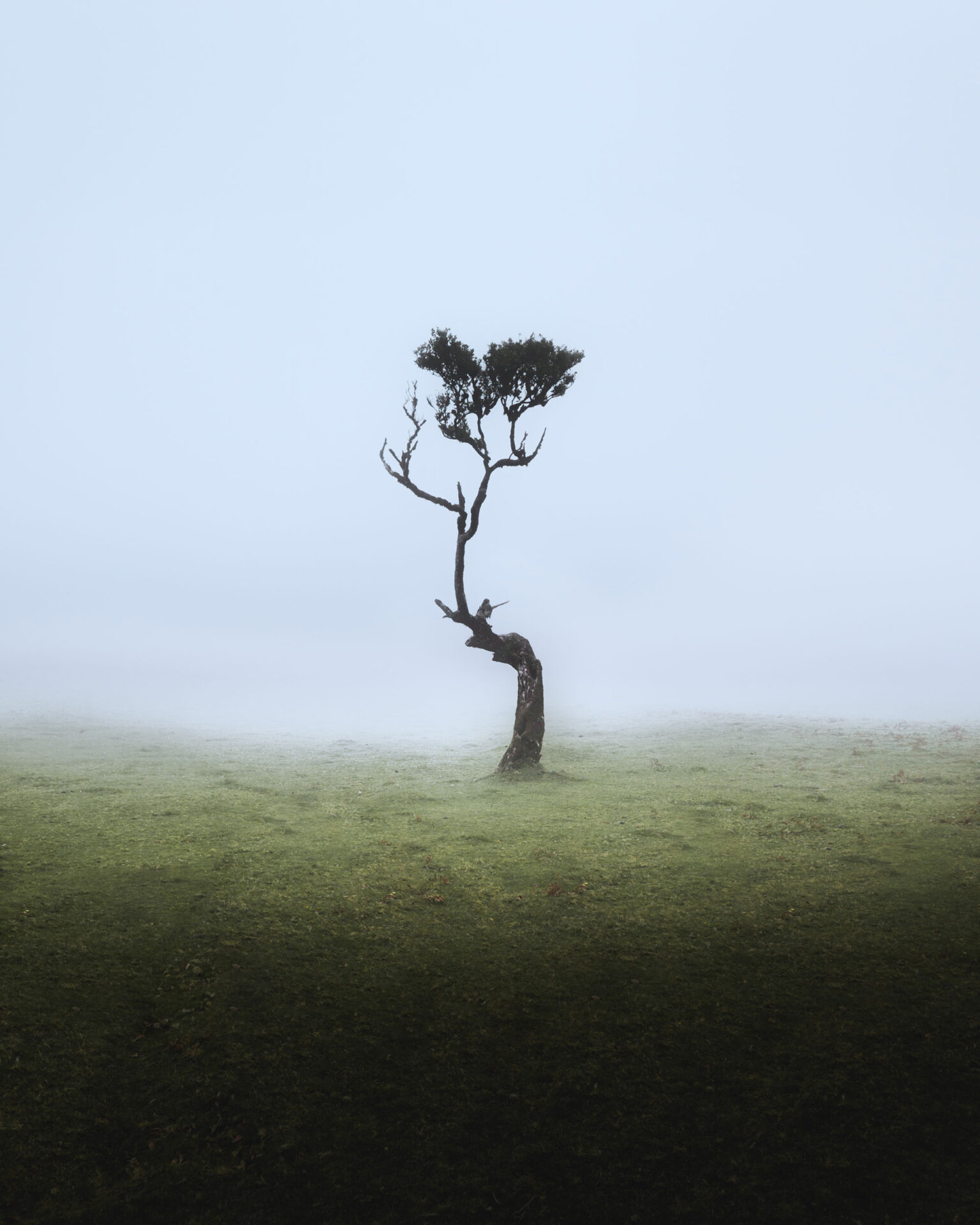 Reiner Hofer – Photography