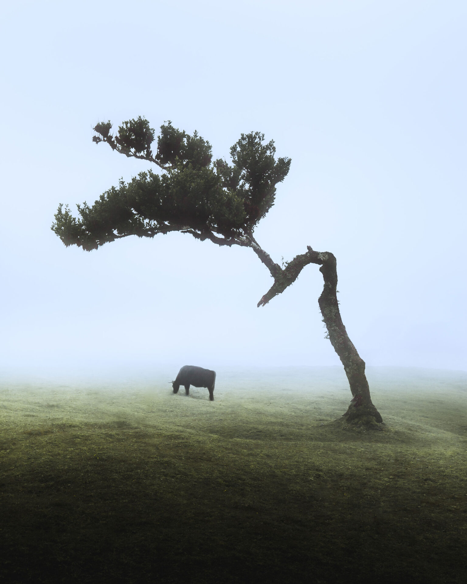 Reiner Hofer – Photography