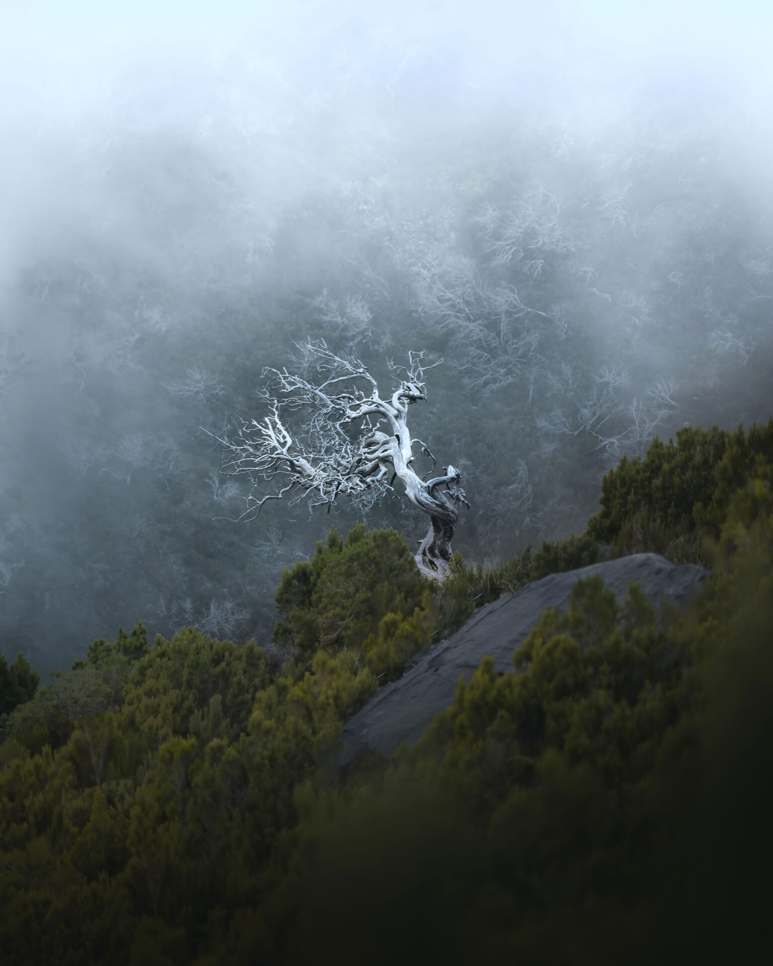 Reiner Hofer – Landscape Photography